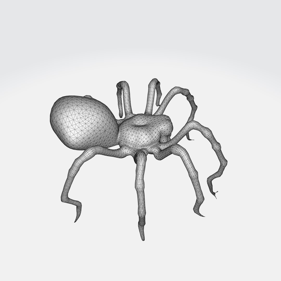 3D Realistic Spider Model - TurboSquid 2268774