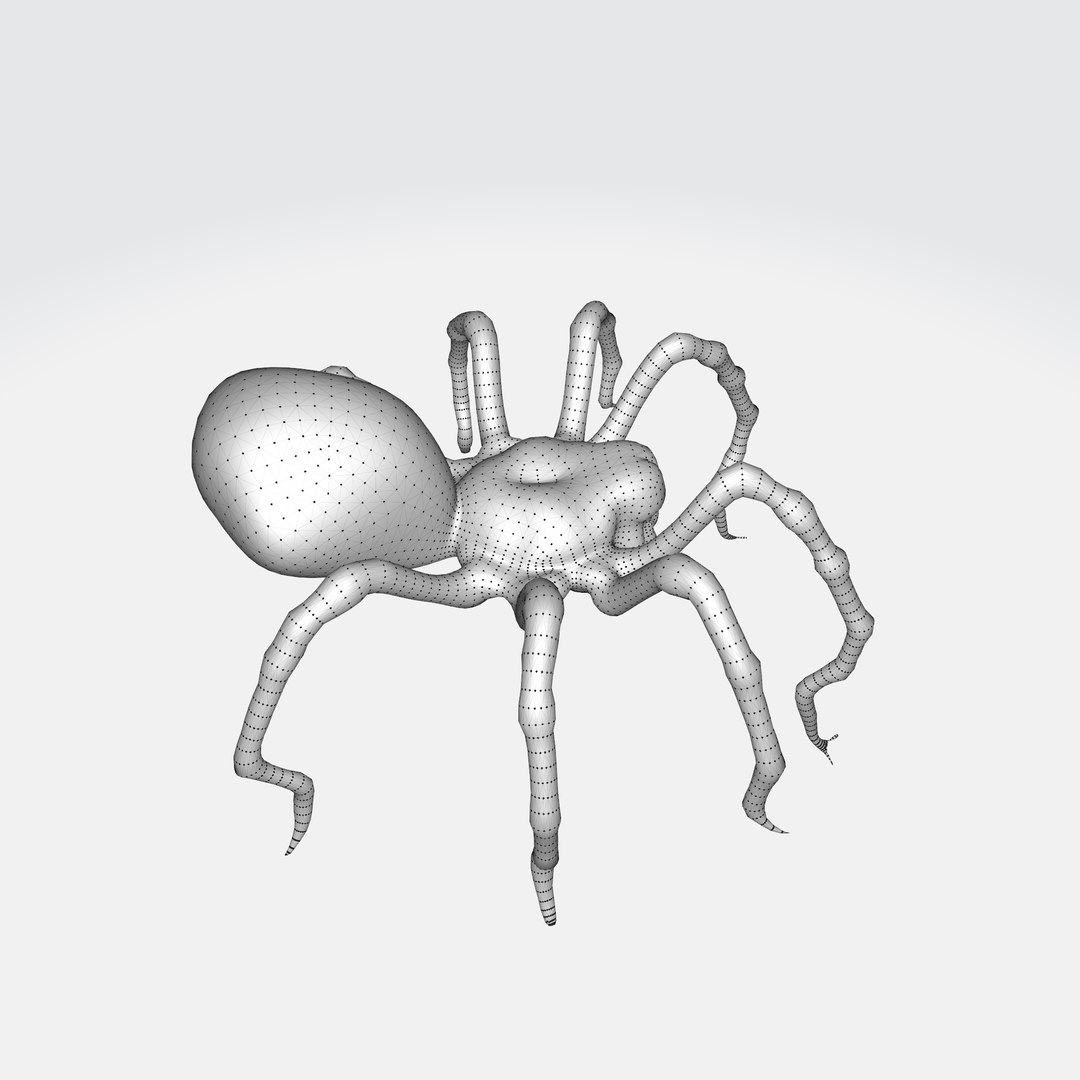 3D Realistic Spider Model - TurboSquid 2268774
