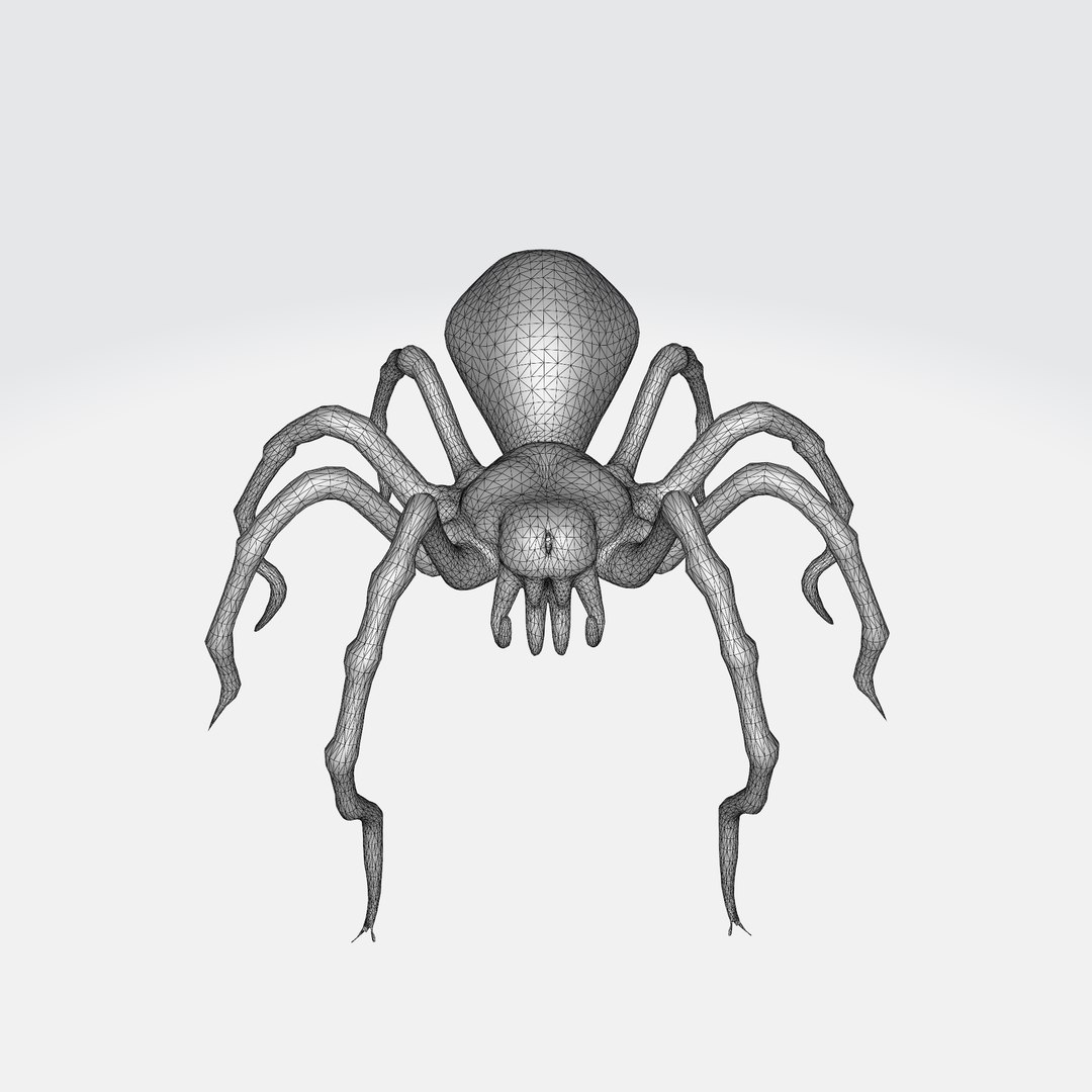 3D Realistic Spider Model - TurboSquid 2268774