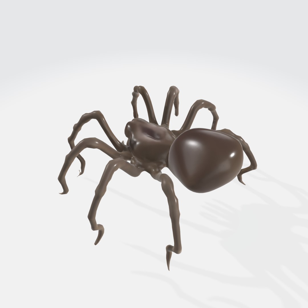 3D Realistic Spider Model - TurboSquid 2268774