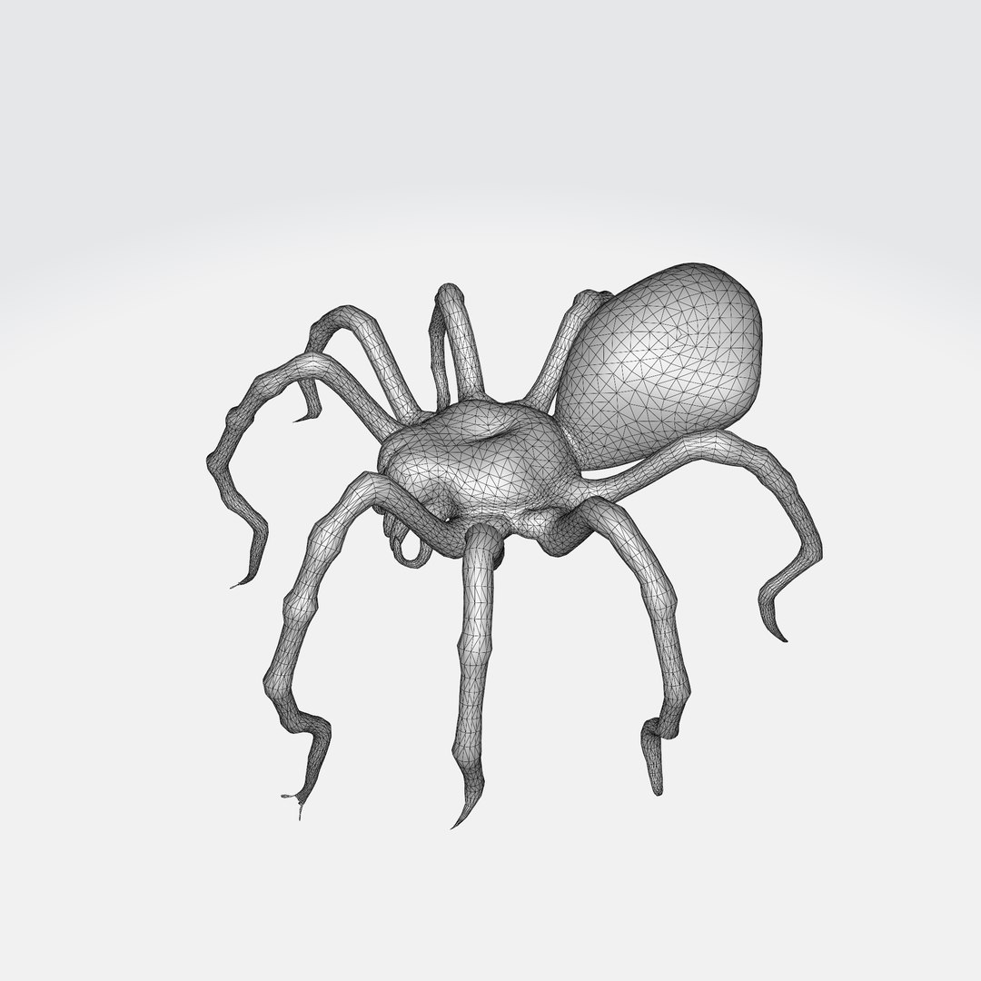 3D Realistic Spider Model - TurboSquid 2268774