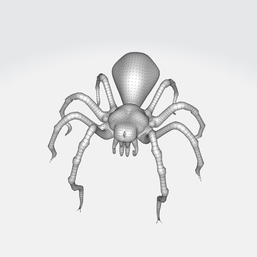 3D Realistic Spider Model - TurboSquid 2268774