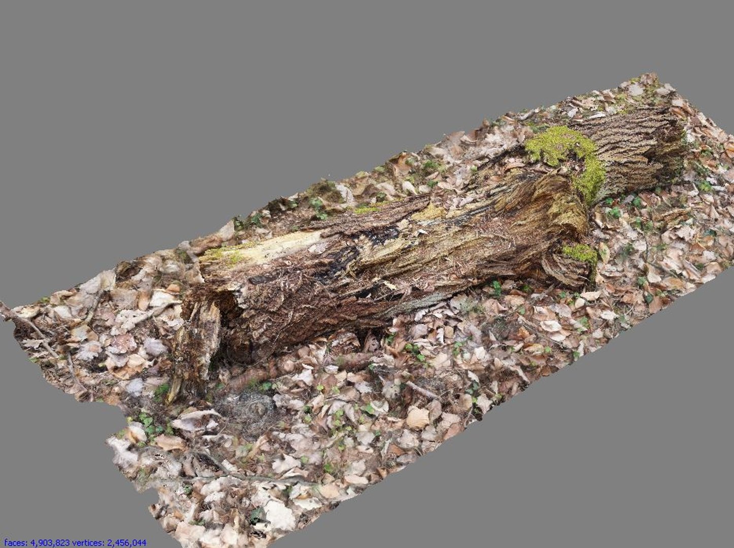 3D Log Photogrammetry Scan - TurboSquid 1411337