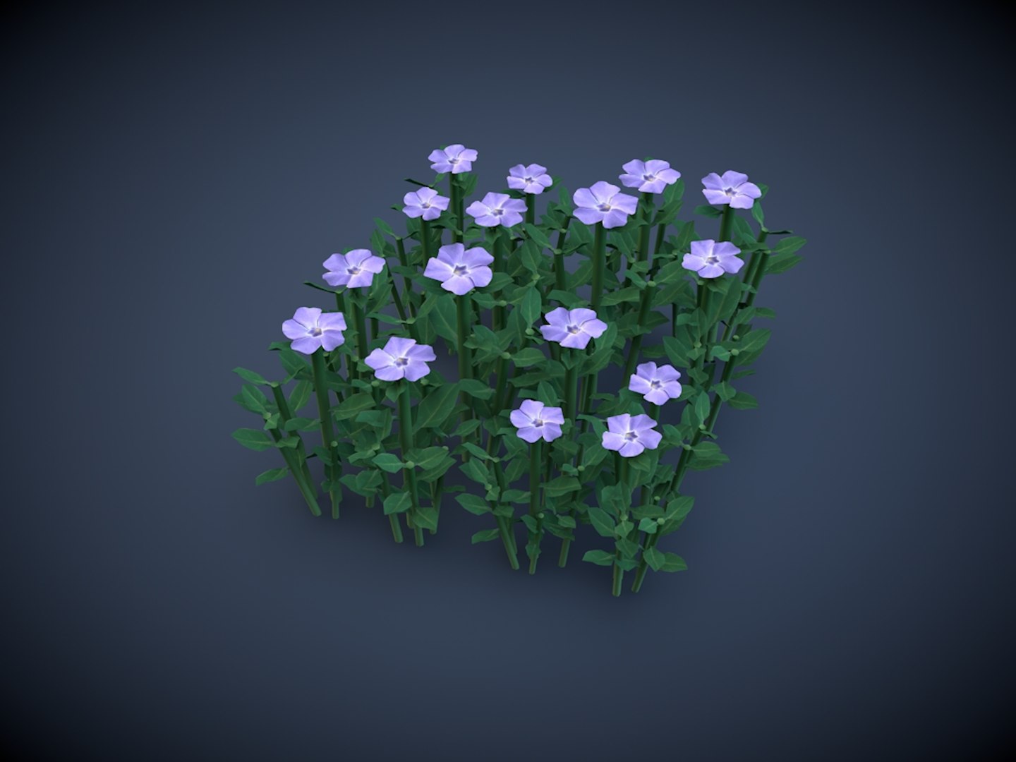 Free Vinca Minor 3d Model