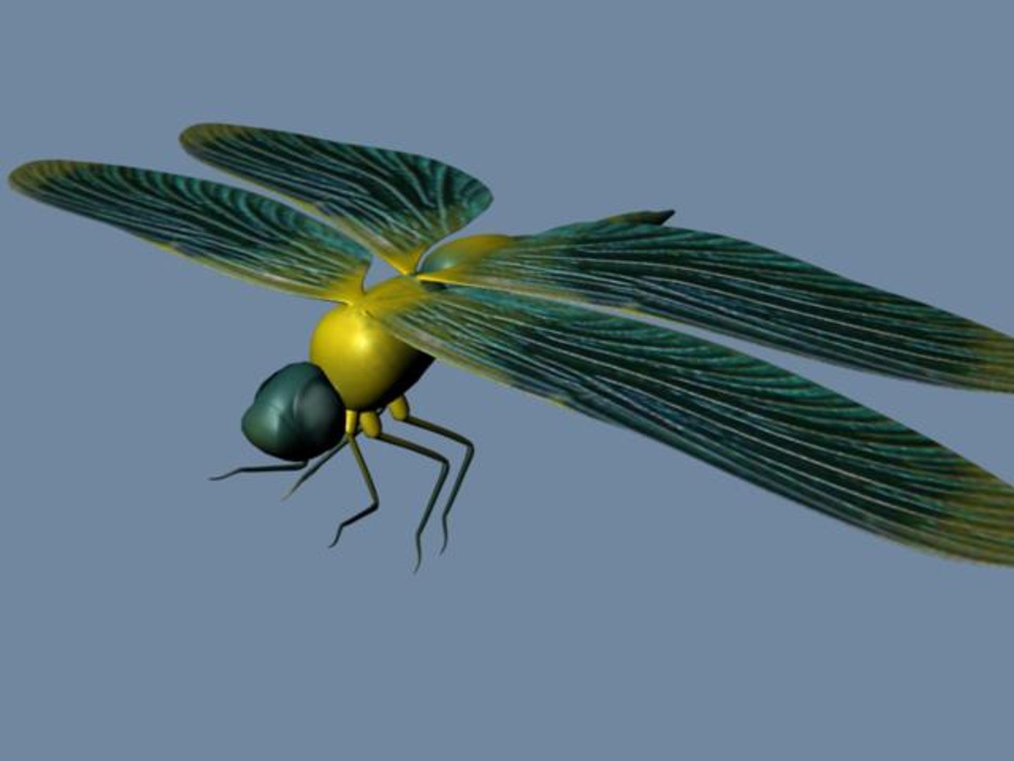 Dragonfly 3d Obj