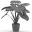 3d Taro Plant