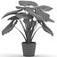 3d Taro Plant
