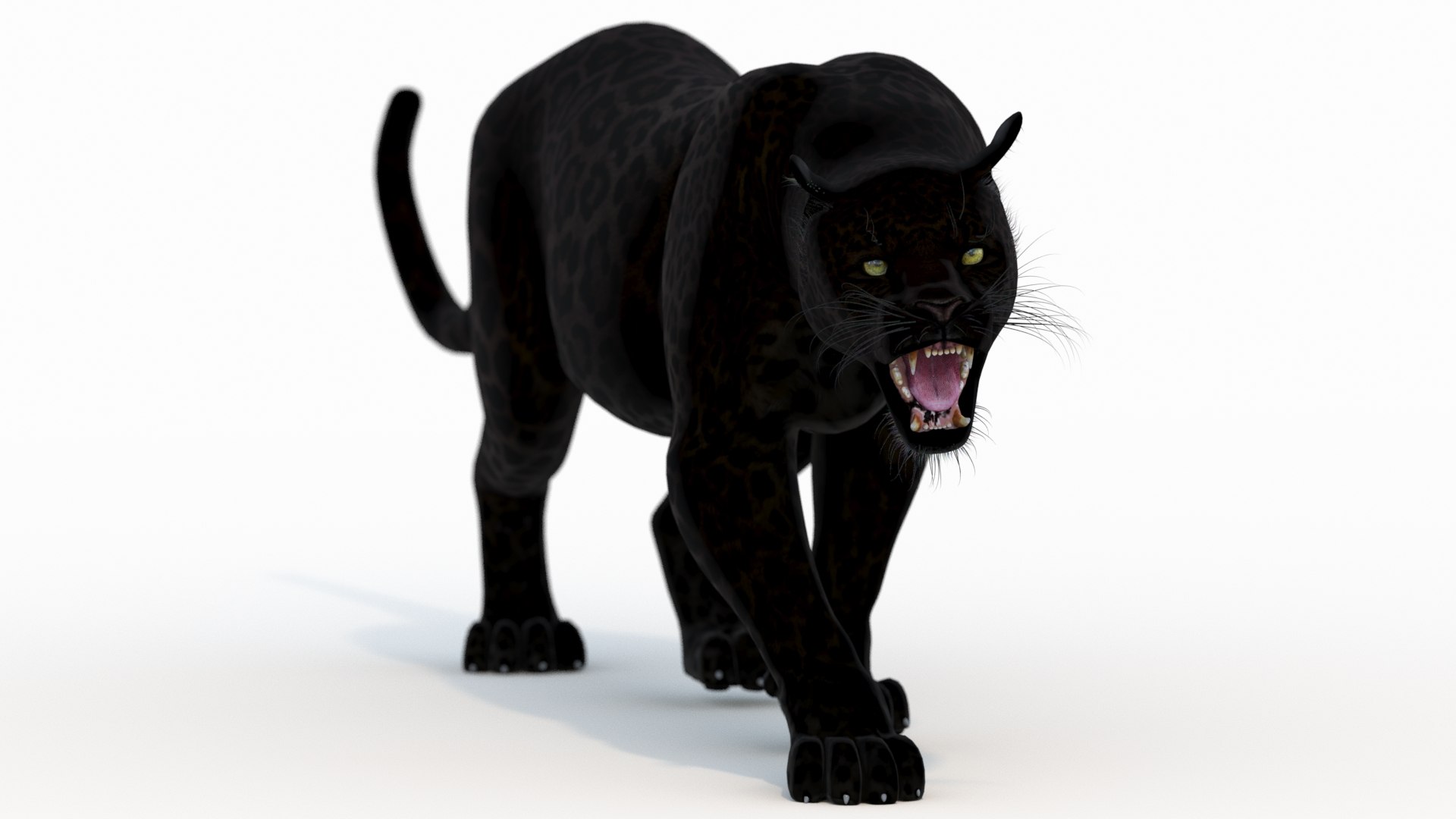 3d black panther animation