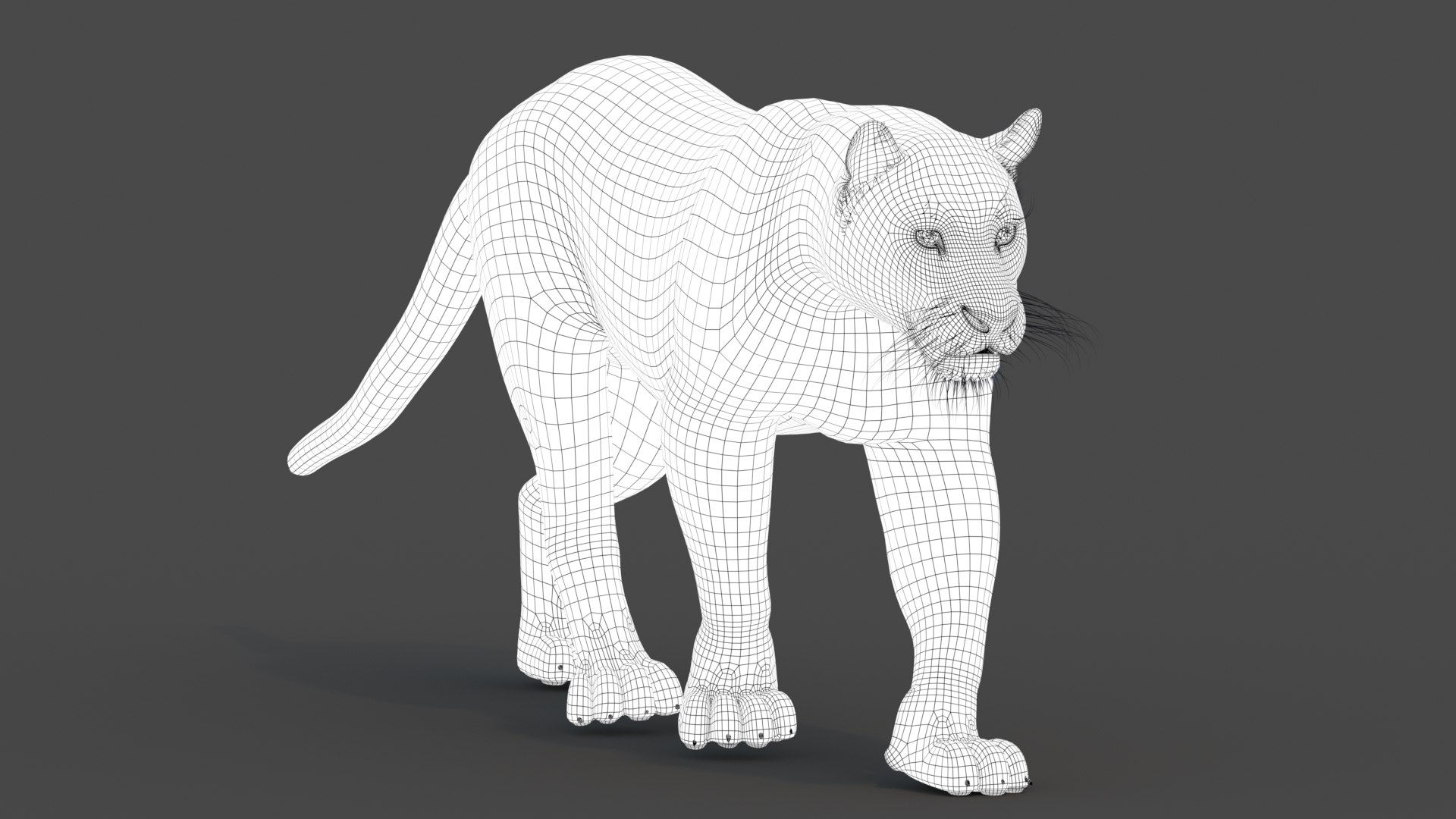 3d black panther animation