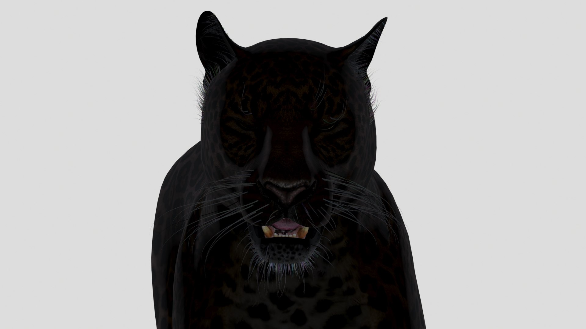 3d black panther animation