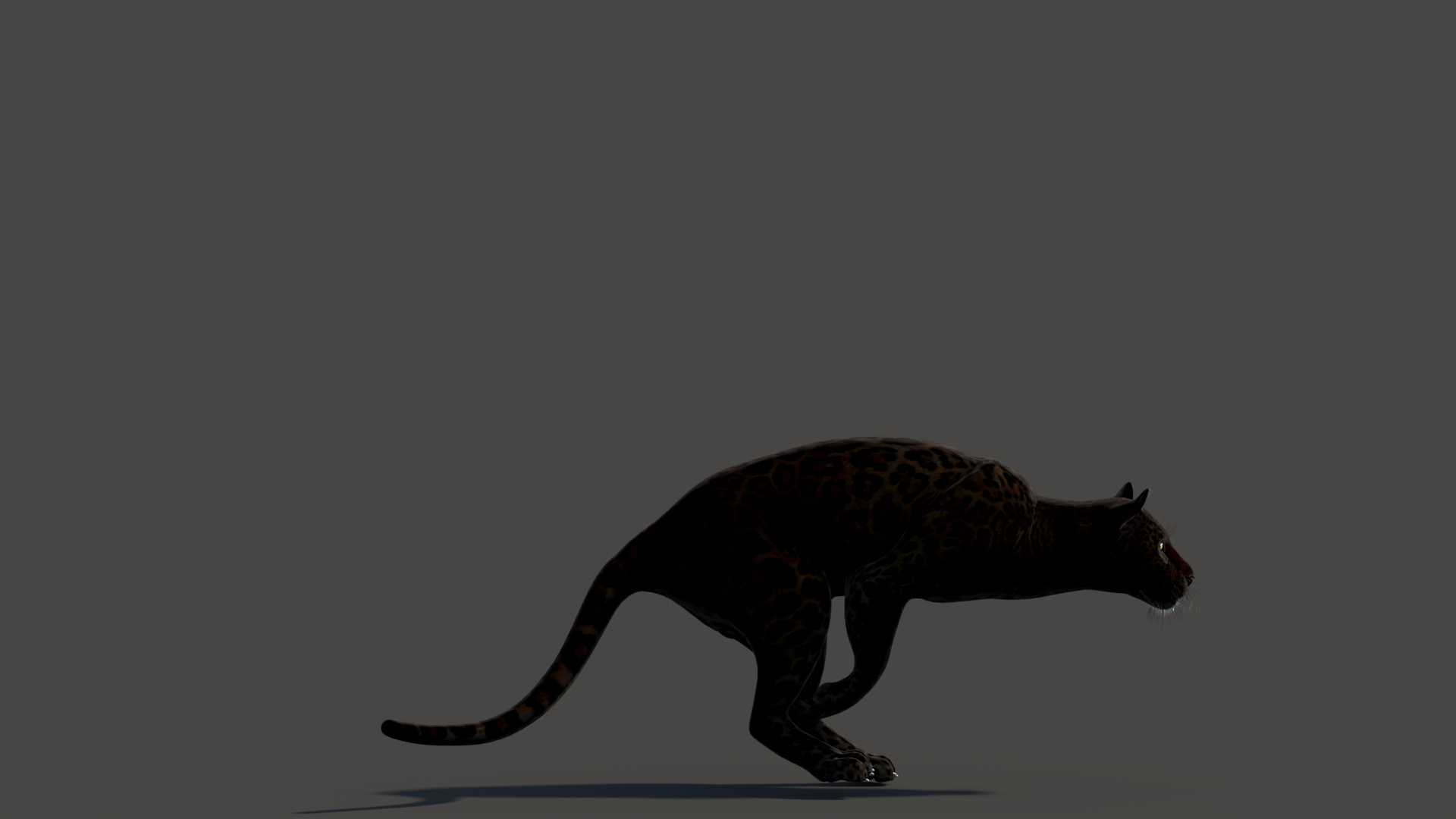 3d Black Panther Animation