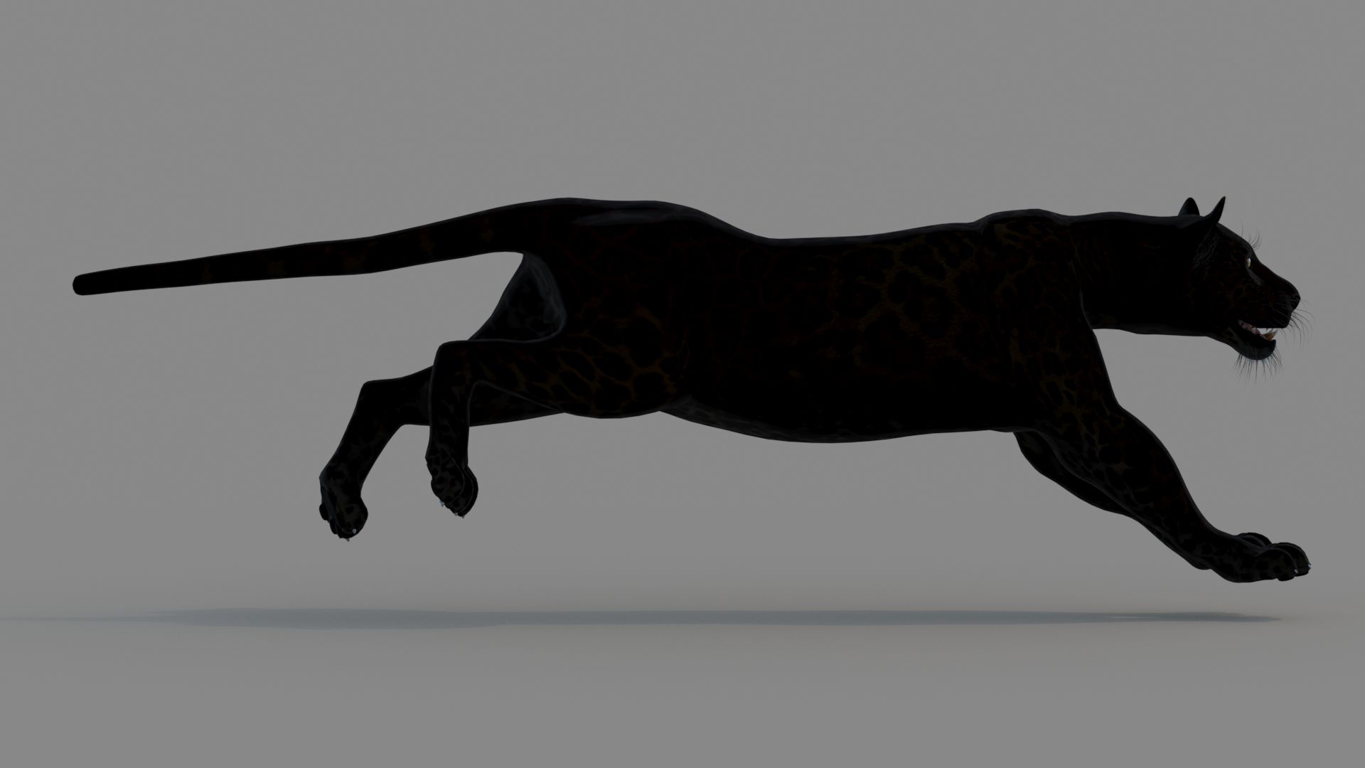 3d Black Panther Animation