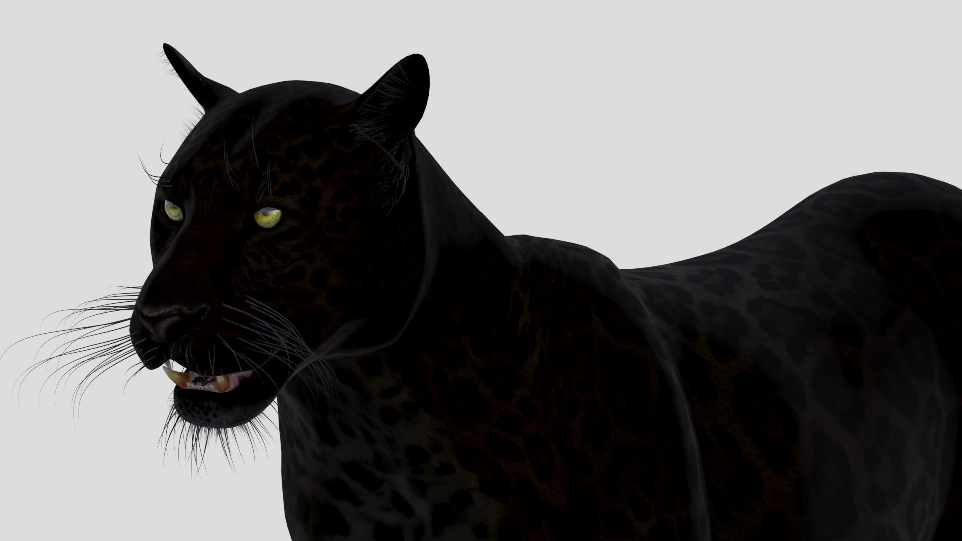 3d black panther animation