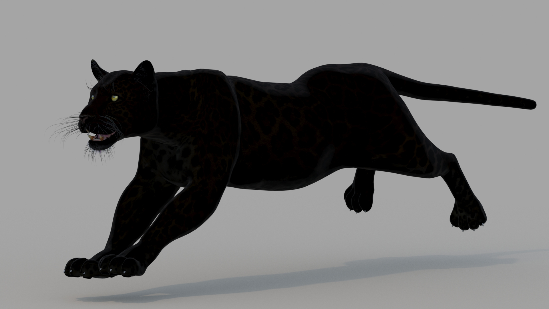 3d Black Panther Animation