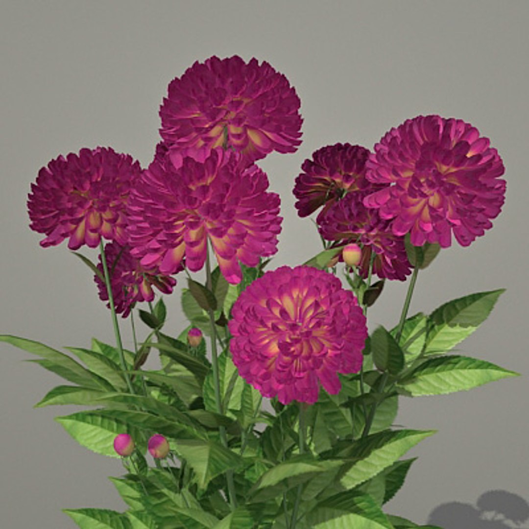 3dsmax Flower Bouquet
