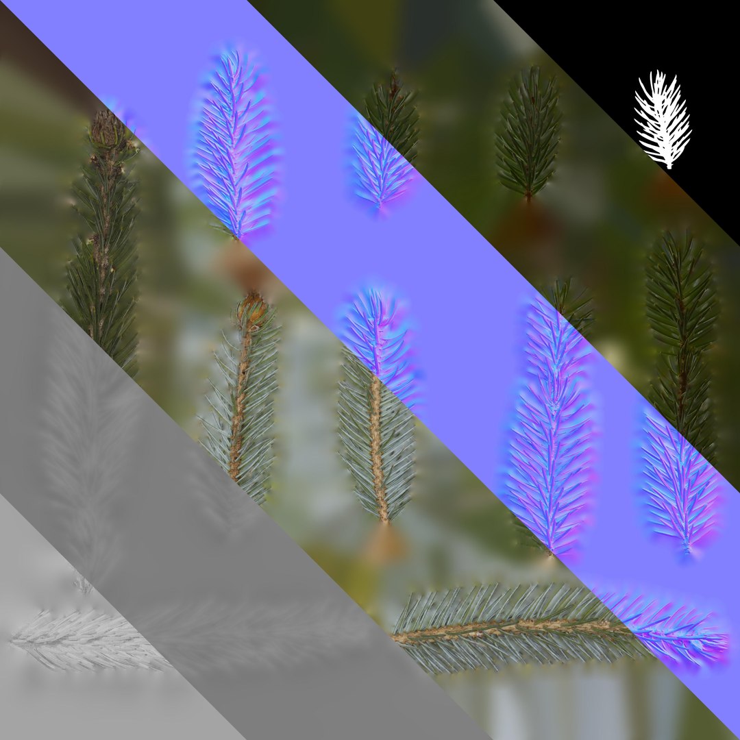 3D Anydrafts Picea Abies Textures Pack Model - TurboSquid 2323568