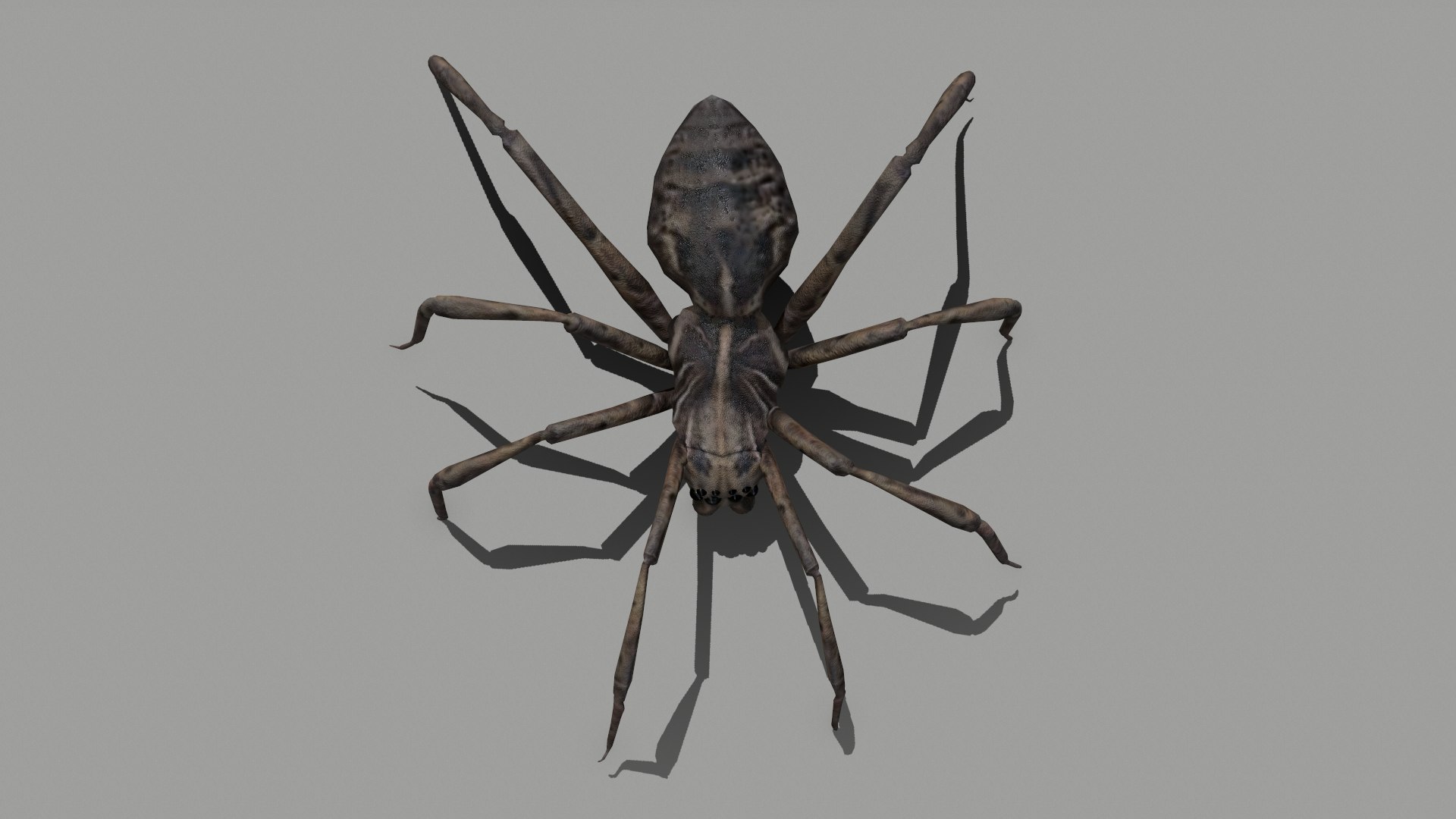 3D Spider - TurboSquid 2347886