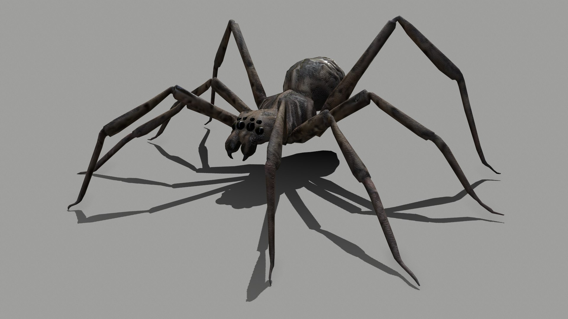 3D Spider - TurboSquid 2347886
