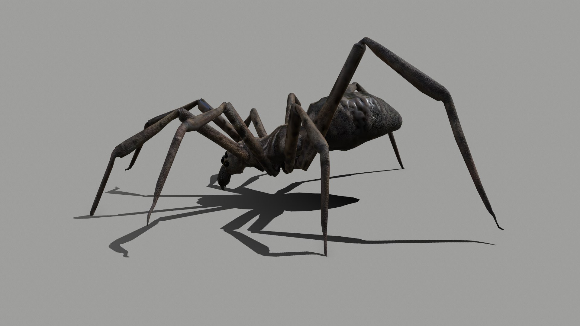 3D Spider - TurboSquid 2347886