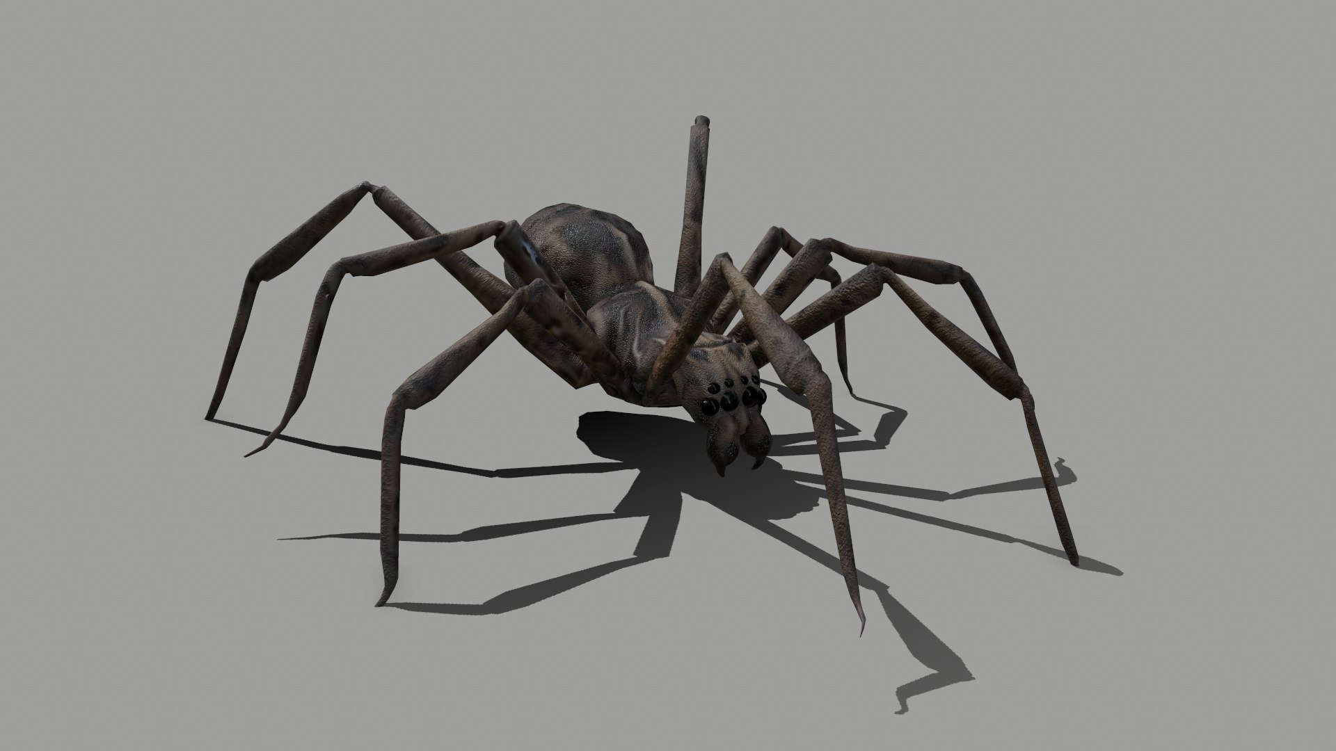 3D Spider - TurboSquid 2347886