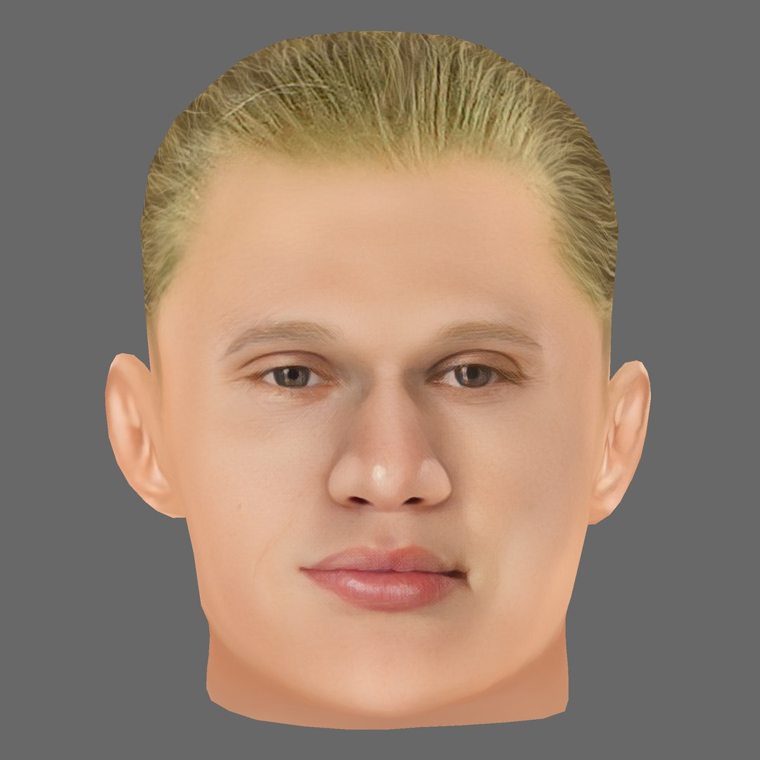 3D Erling Haaland Head - Low Poly Head For Game Low-poly Model ...