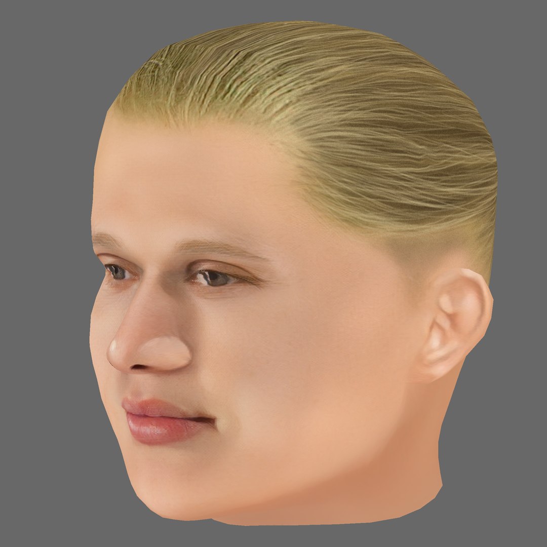 3D Erling Haaland Head - Low Poly Head For Game Low-poly Model ...