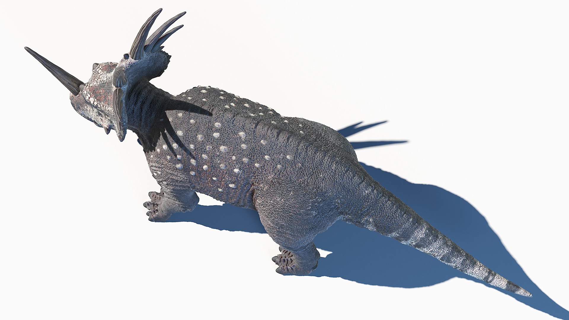 Styracosaurus 3D Model - TurboSquid 1669705
