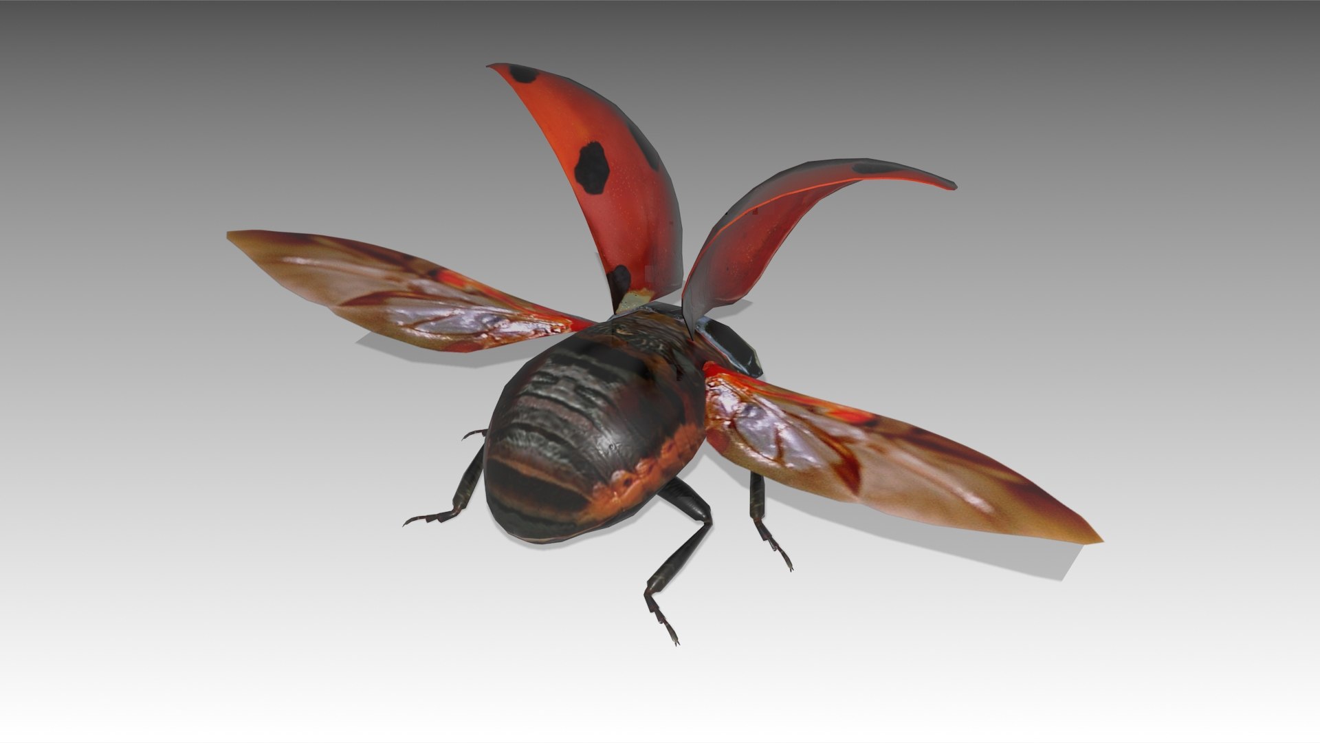 Ladybug Animations 3D Model - TurboSquid 1277676