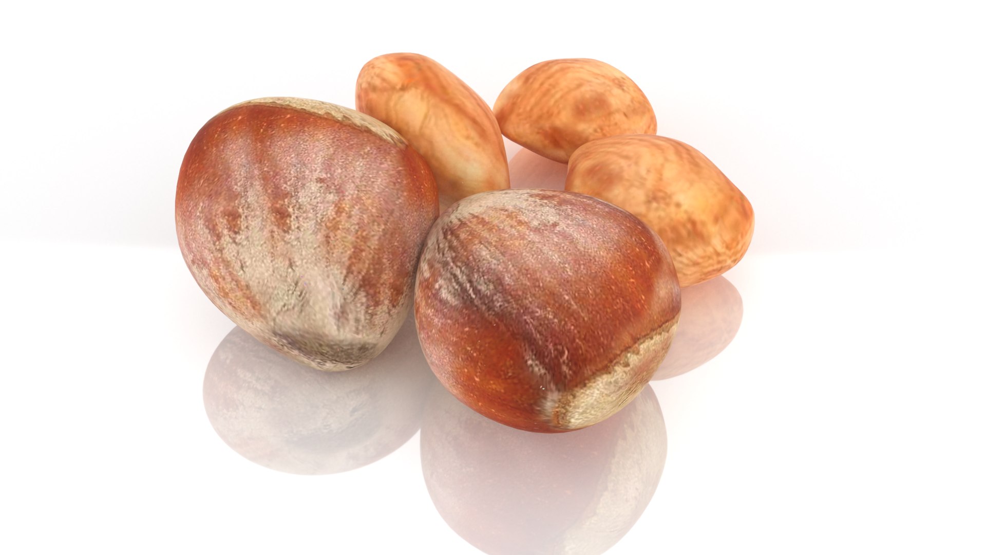 Nut hazelnut hazel model - TurboSquid 1377668