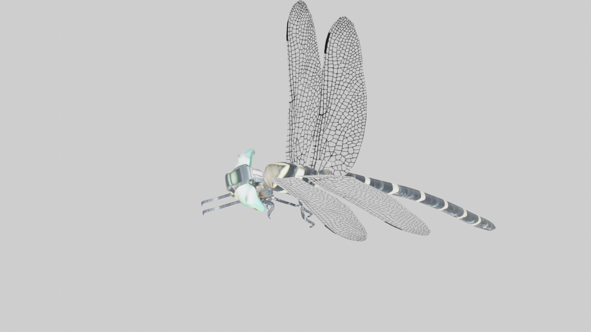 3D dragonfly - TurboSquid 1768077