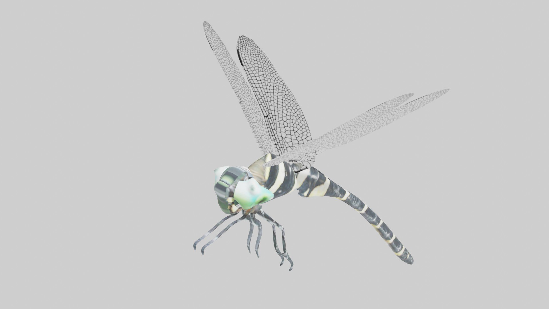 3D dragonfly - TurboSquid 1768077