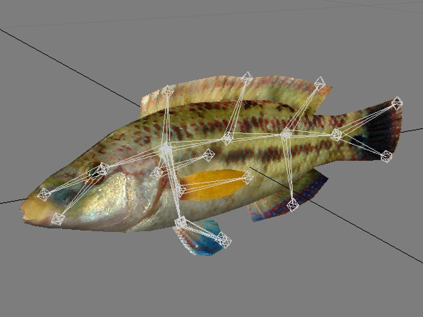 Fish Low-poly Symphodus 3d Model