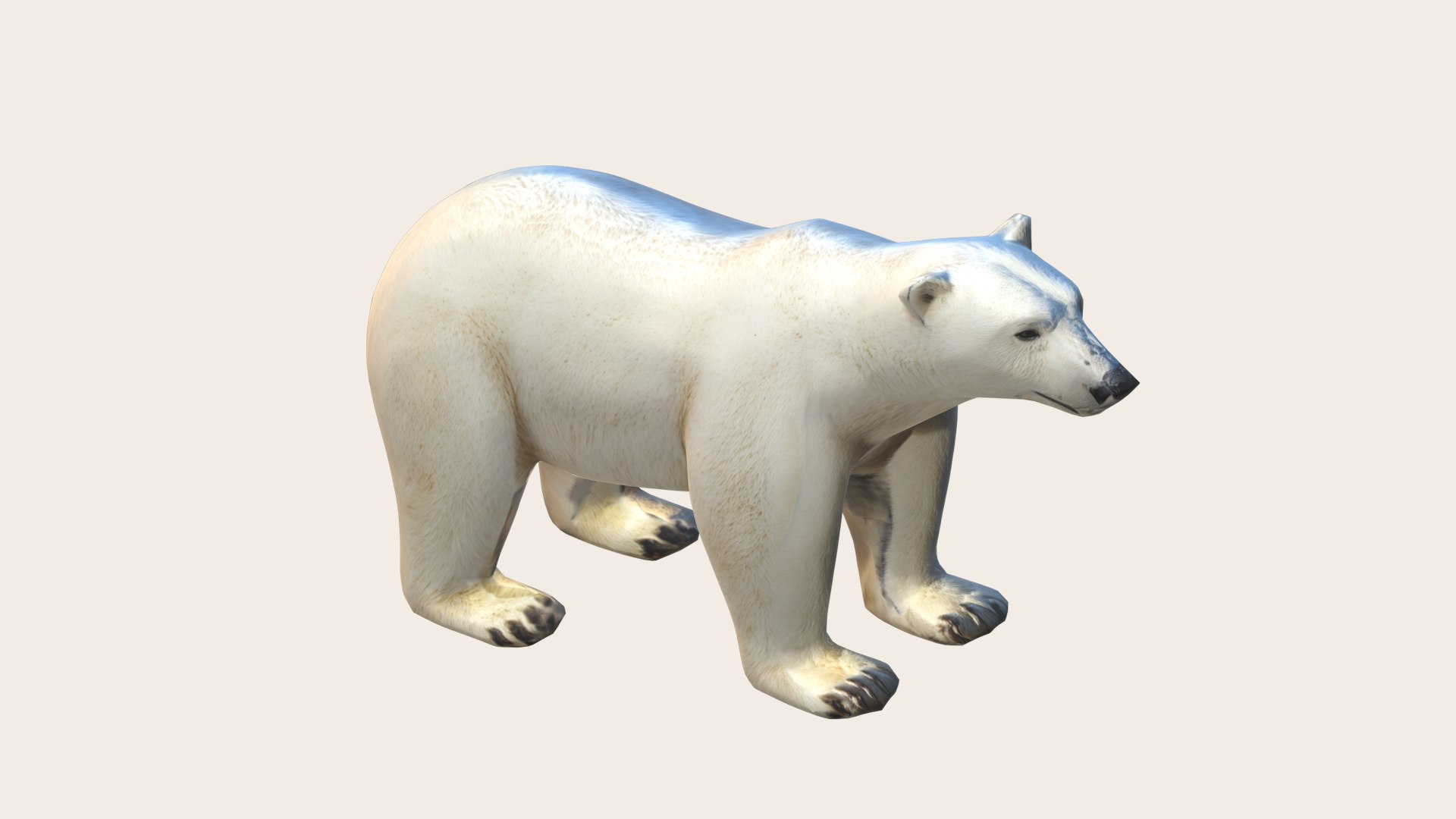 Polar Bear 3D Model - TurboSquid 2218990