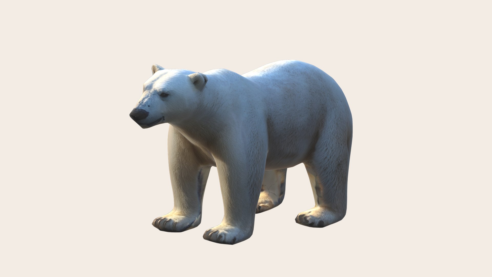 Polar Bear 3D Model - TurboSquid 2218990