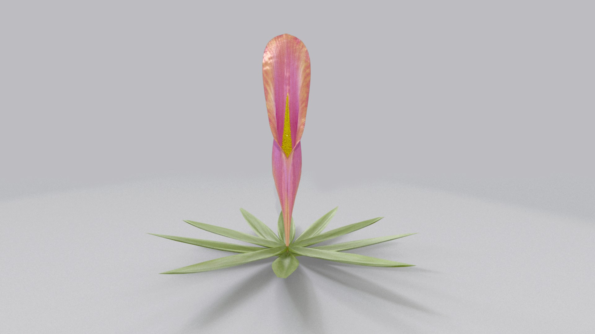 3D Model Fantasy Flower Plant - TurboSquid 1966134