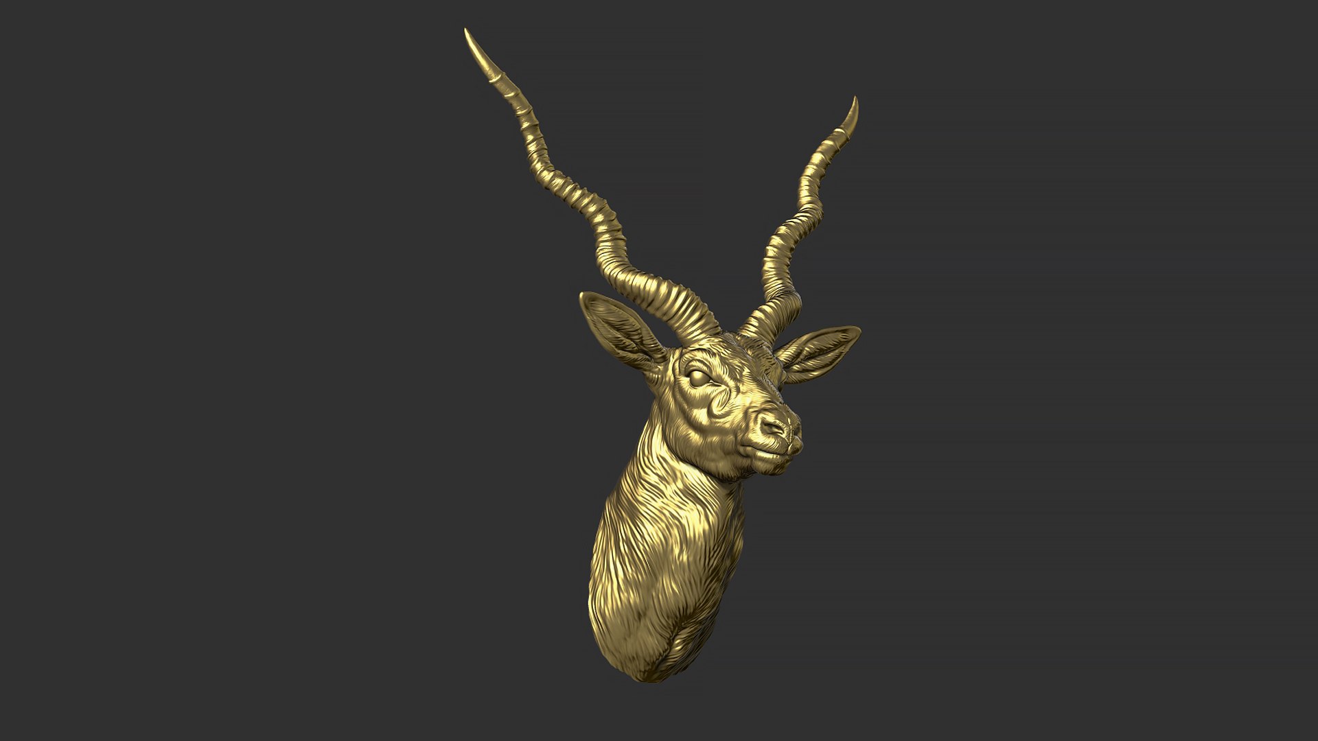 Blackbuck antelope bust 3D model - TurboSquid 2116873
