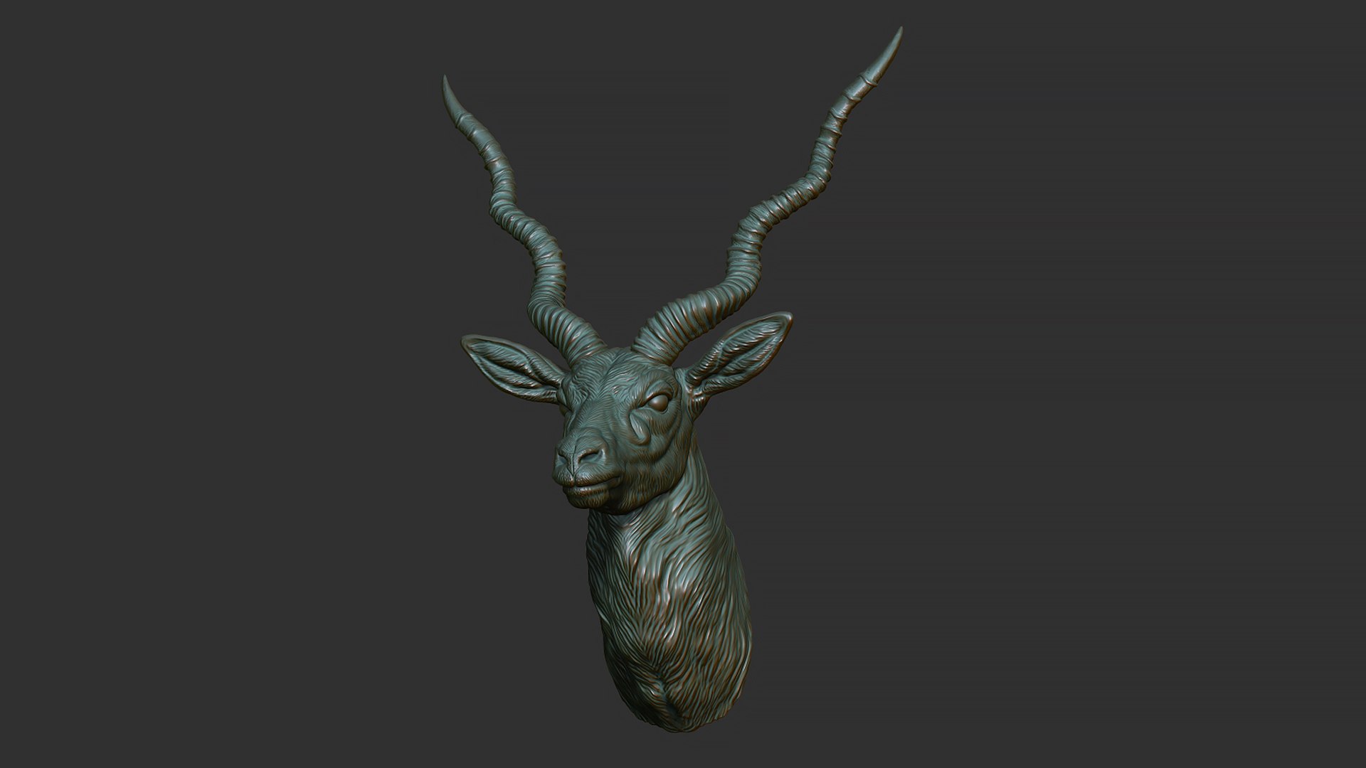 Blackbuck antelope bust 3D model - TurboSquid 2116873