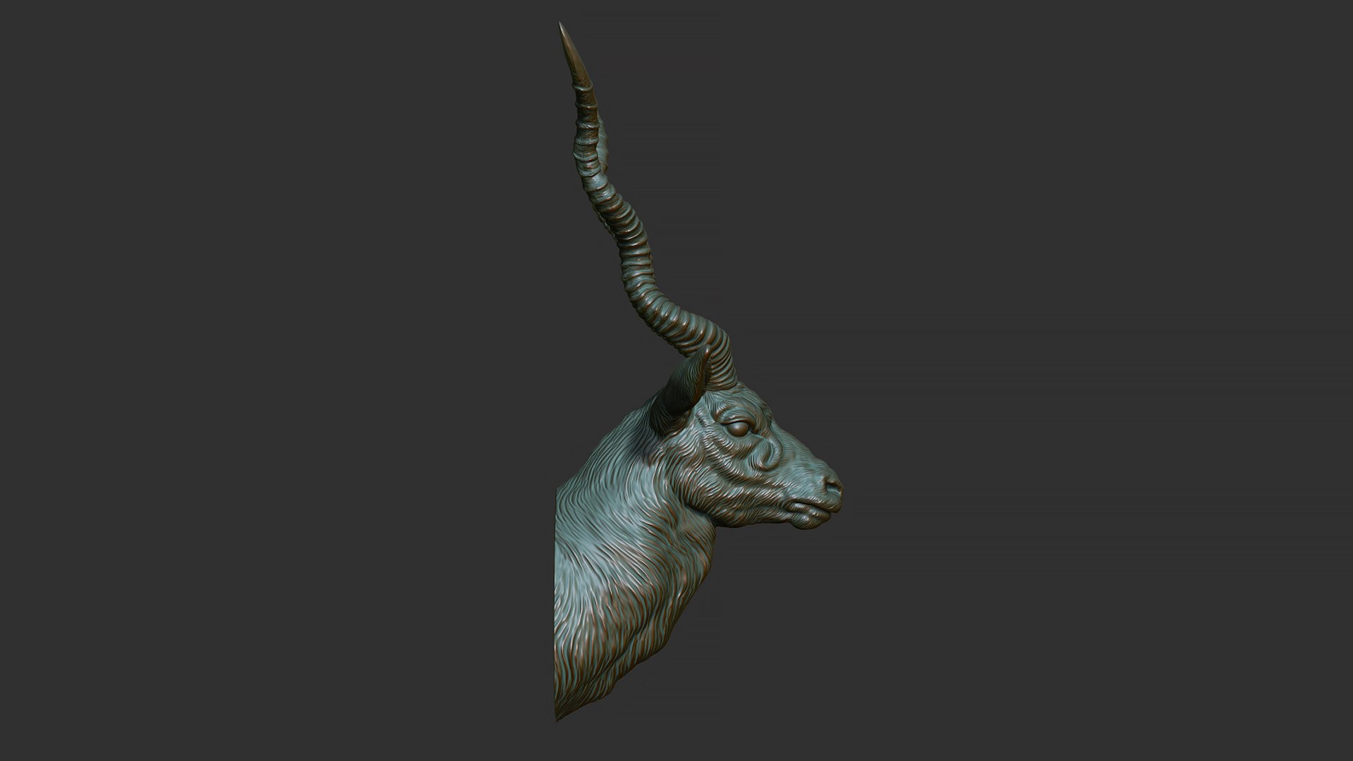 Blackbuck antelope bust 3D model - TurboSquid 2116873