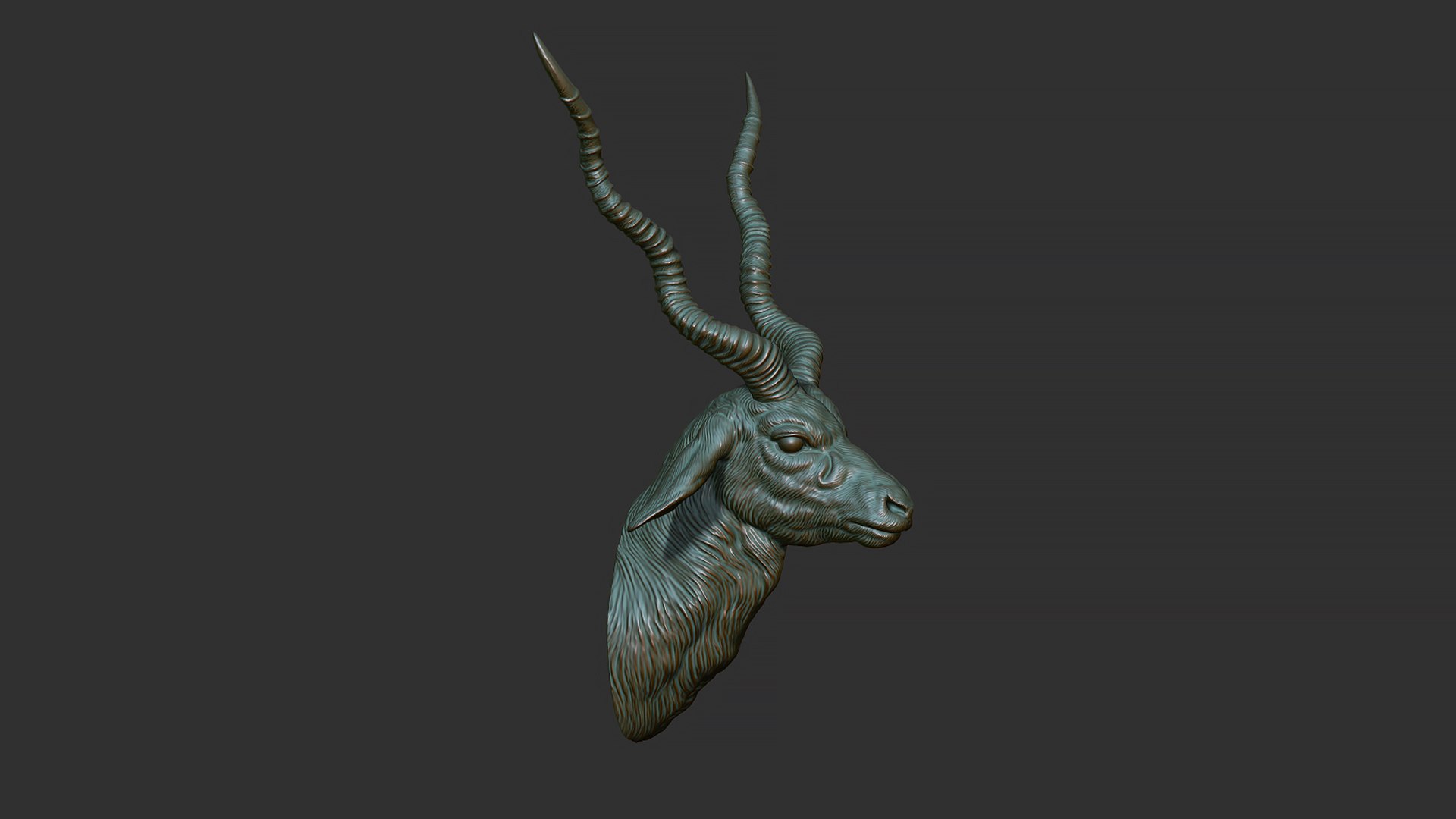 Blackbuck antelope bust 3D model - TurboSquid 2116873