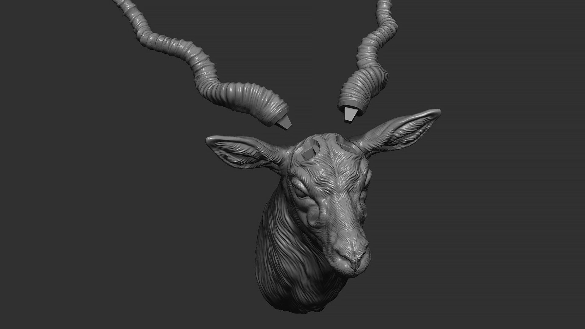 Blackbuck antelope bust 3D model - TurboSquid 2116873