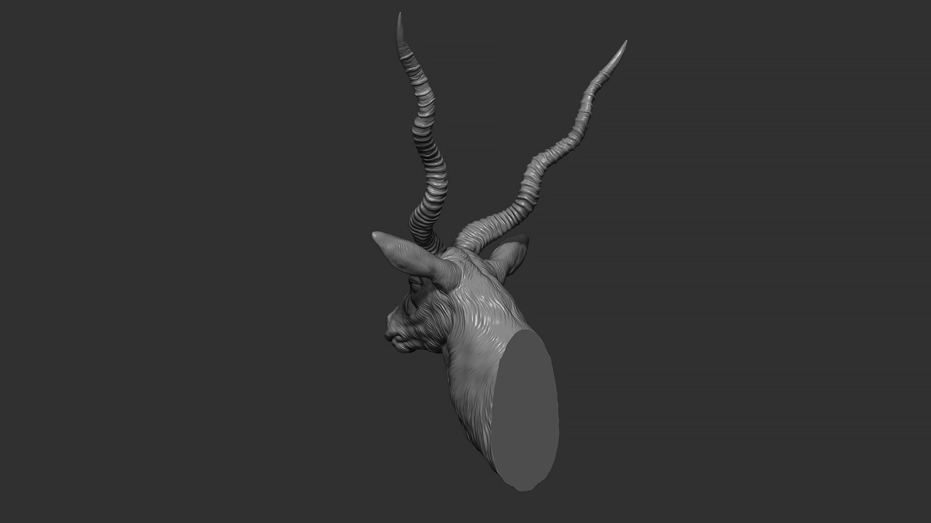 Blackbuck antelope bust 3D model - TurboSquid 2116873