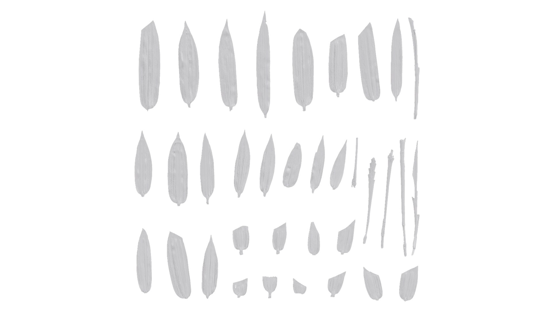 Anydrafts Sasa Fortunei Leaf 01 Textures 3D Model - TurboSquid 2345478