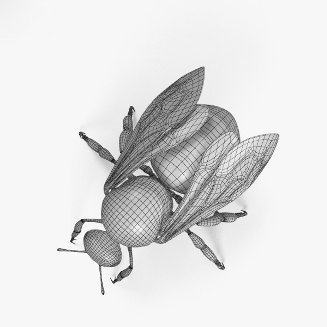 3D bumblebee bumble bee model - TurboSquid 1361158