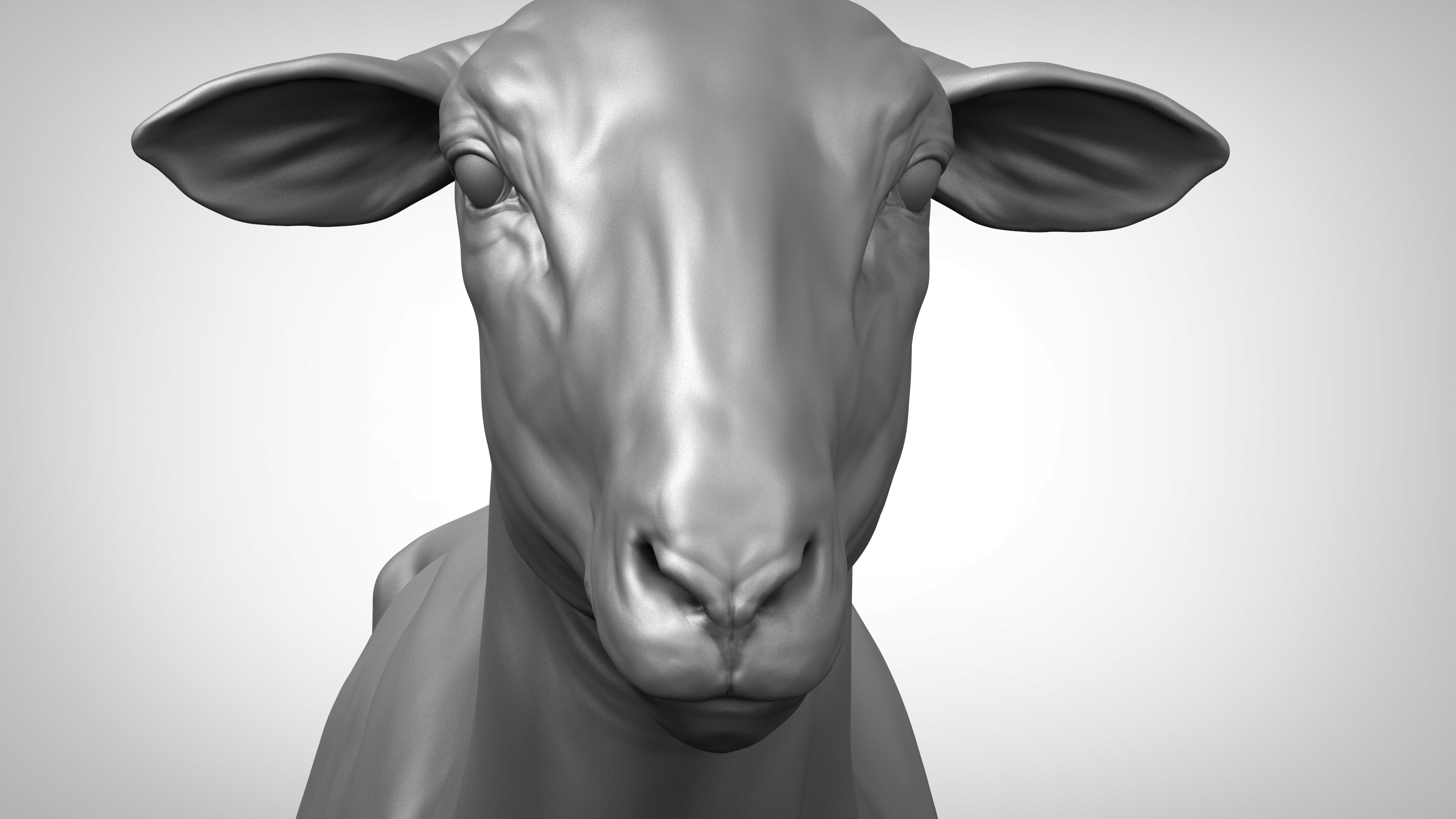 Sheep zbrush 3D model - TurboSquid 1638274