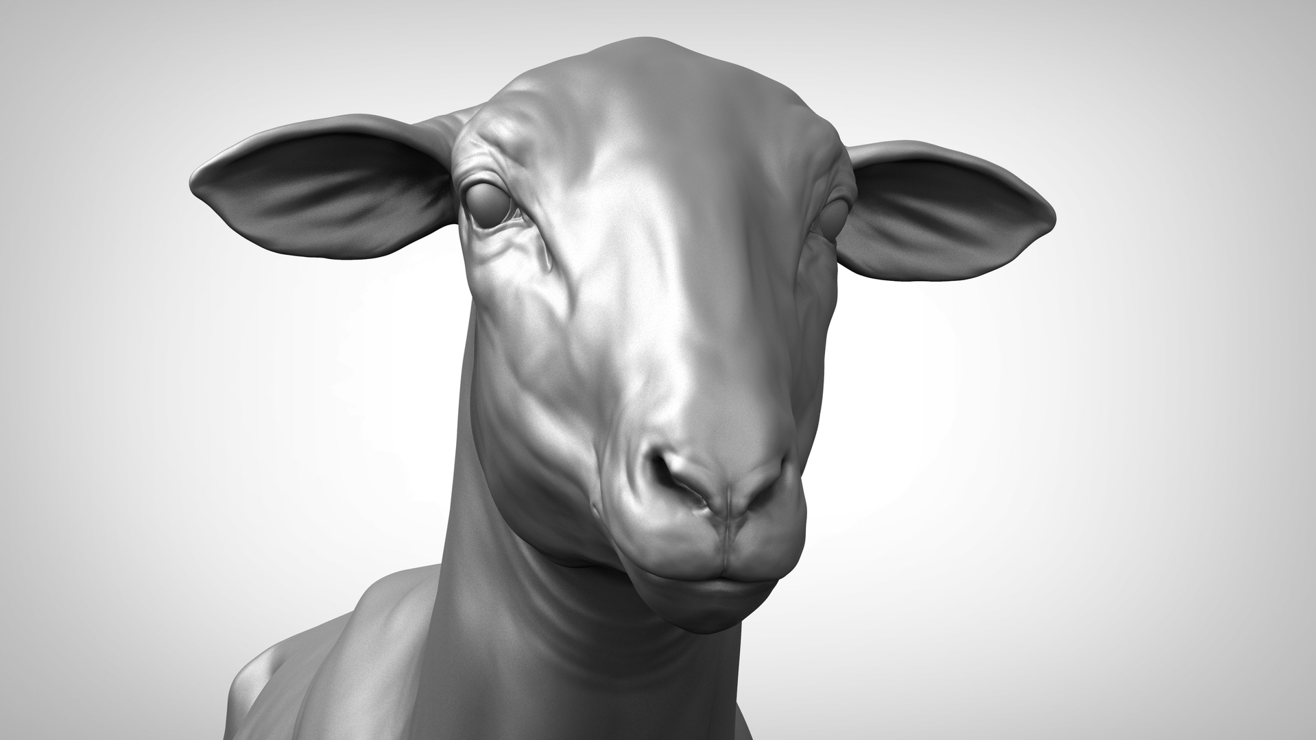 Sheep zbrush 3D model - TurboSquid 1638274