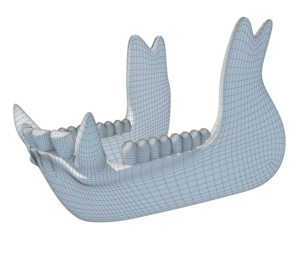 Animal Jaw 3D Model - TurboSquid 1177864