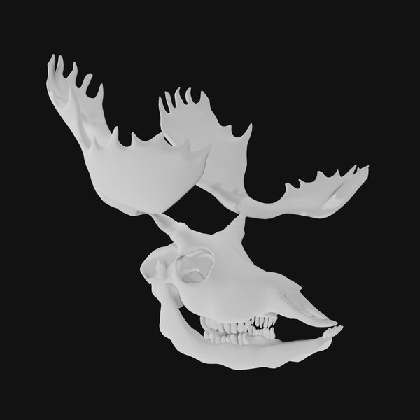 Moose Skull 3D 모델 - TurboSquid 1983386