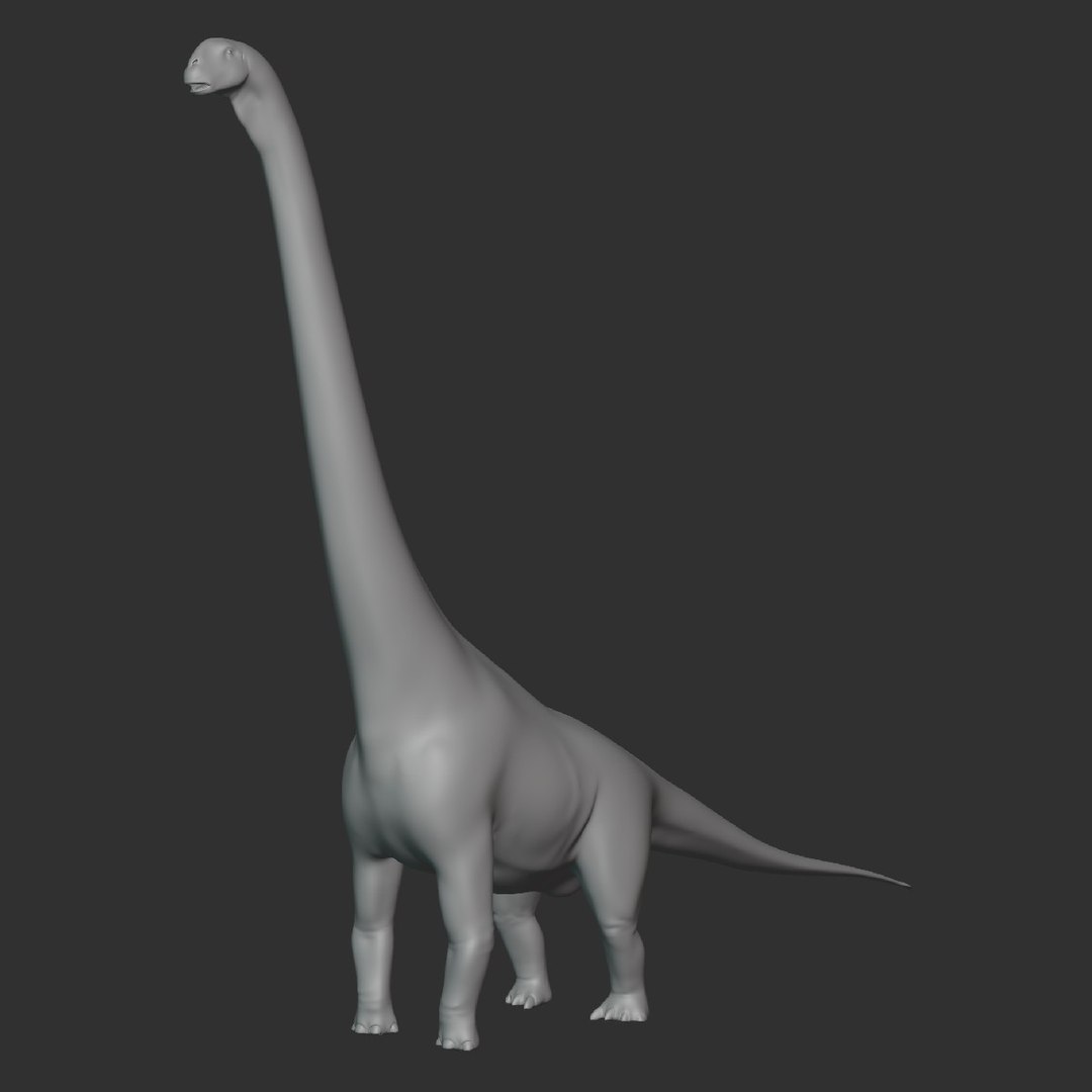 Omeisaurus Basemesh Low Poly3D模型 - TurboSquid 1995172