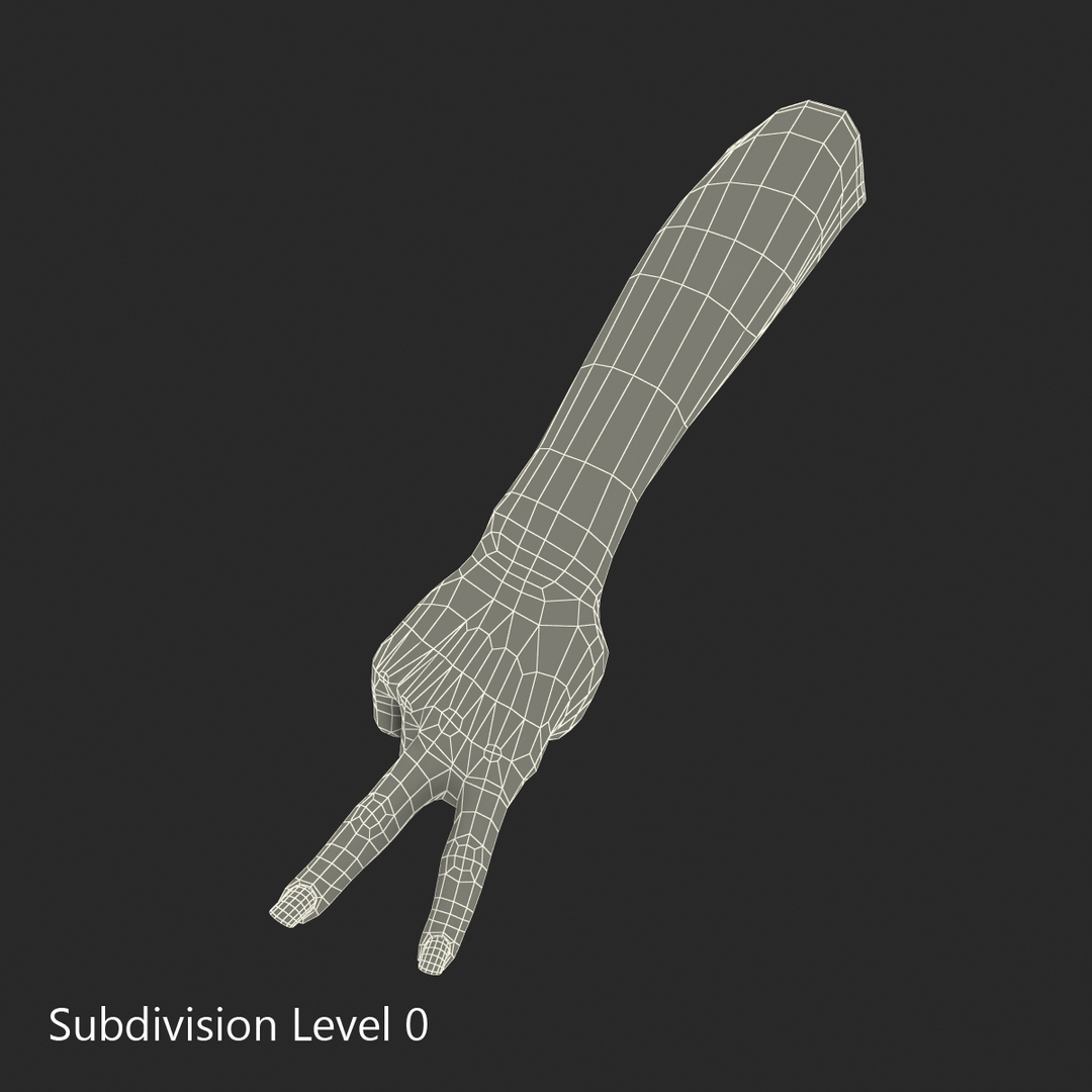 3d model female hand 3 pose