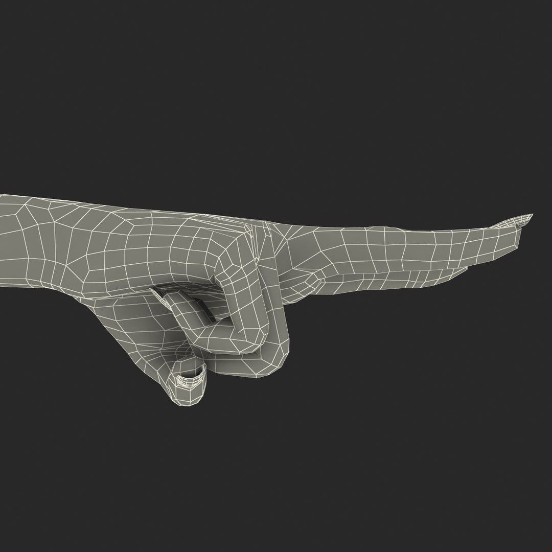 3d model female hand 3 pose